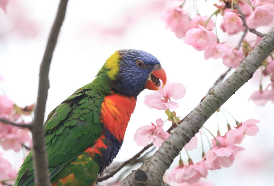 以行践学、趣享五一，江苏多元研学赋能少年成长